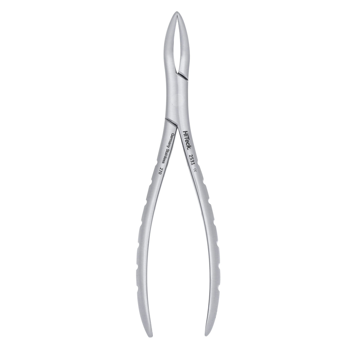 301 Lower Roots Serrated Extraction Forceps - Precision Tool for Dental ...