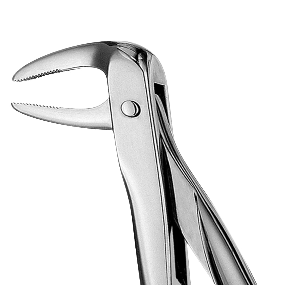 74N Lower Roots Narrow Beaks Serrated Extraction Forceps - Precision ...