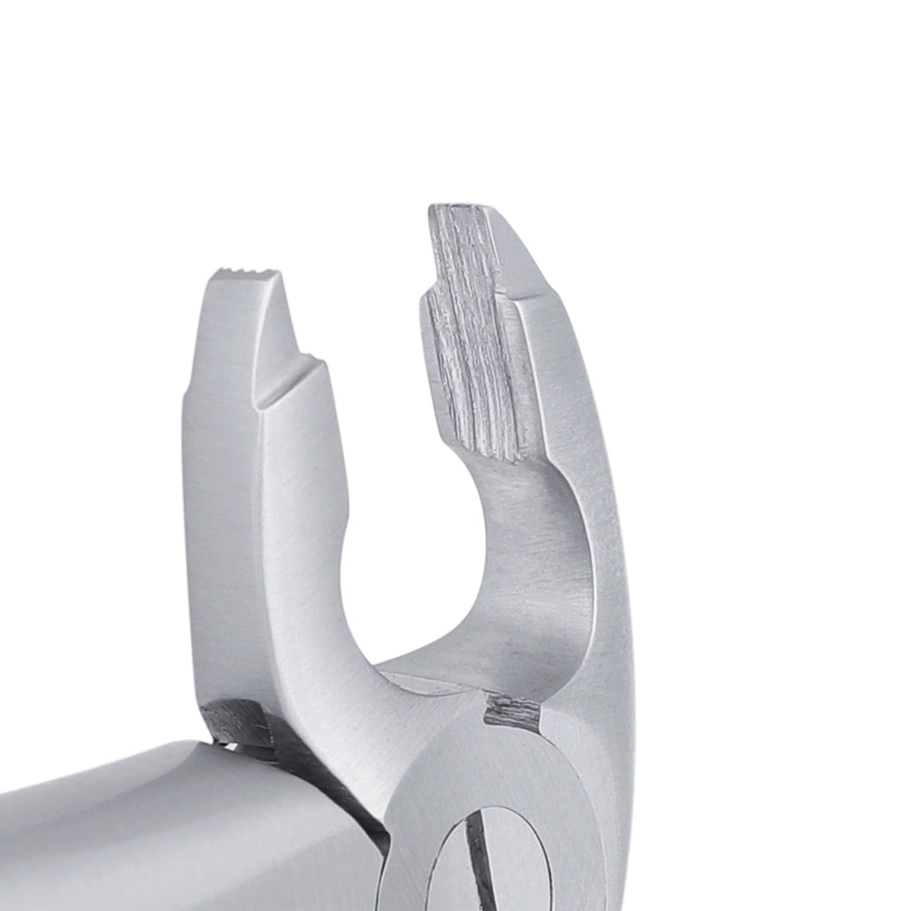 36 Serrated Lower Premolars Extraction Forcep – 3Z Dental