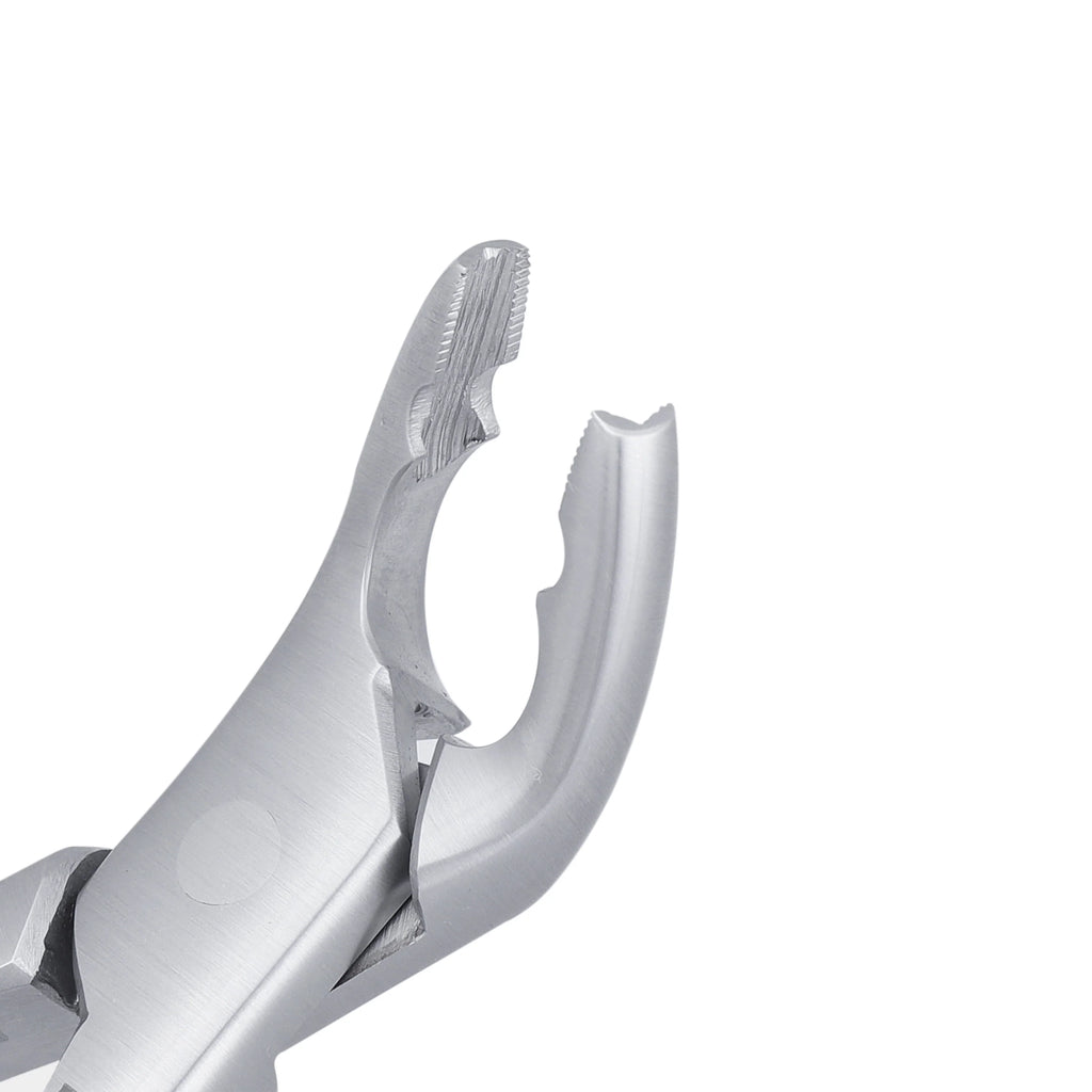 151AS Split Beaks Serrated Lower Incisors, Canines & Premolars ...