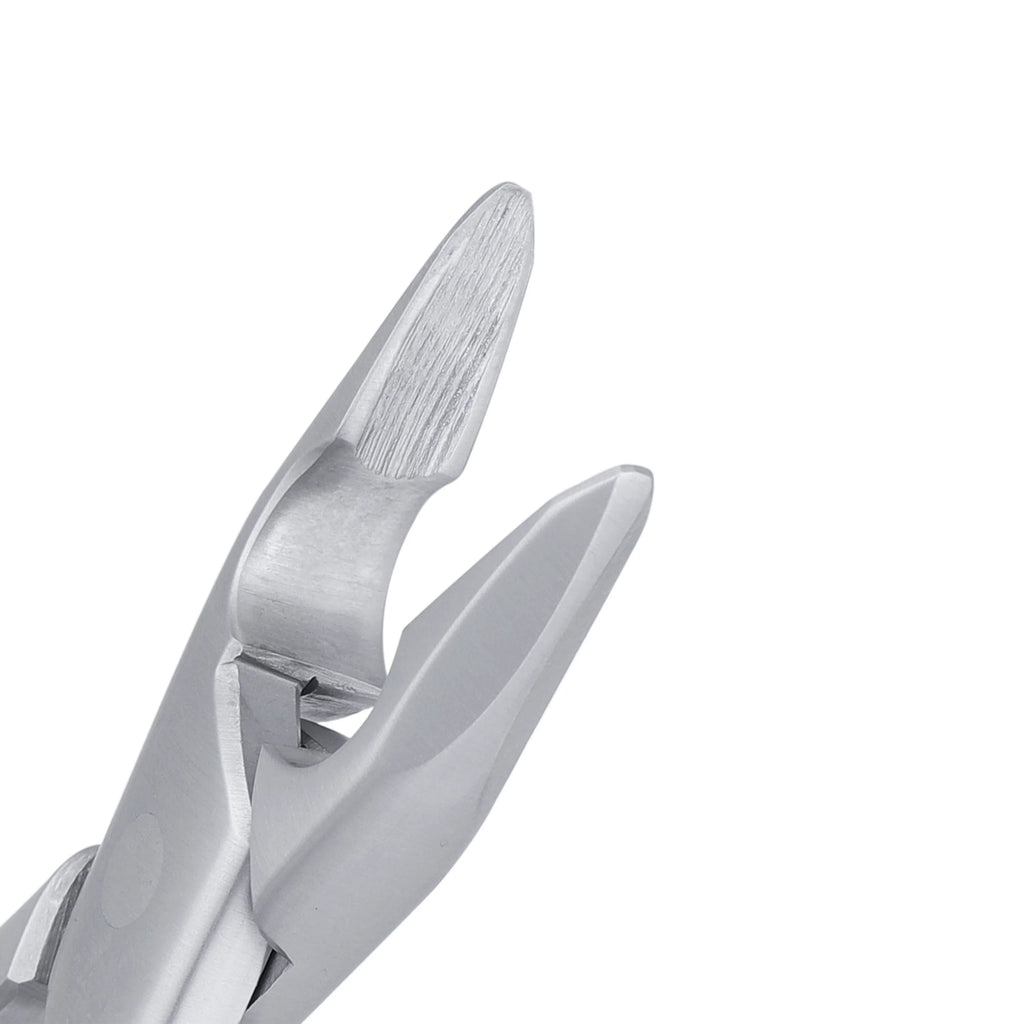 AF1 Standard Apical Upper Anteriors Extraction Forceps – 3Z Dental