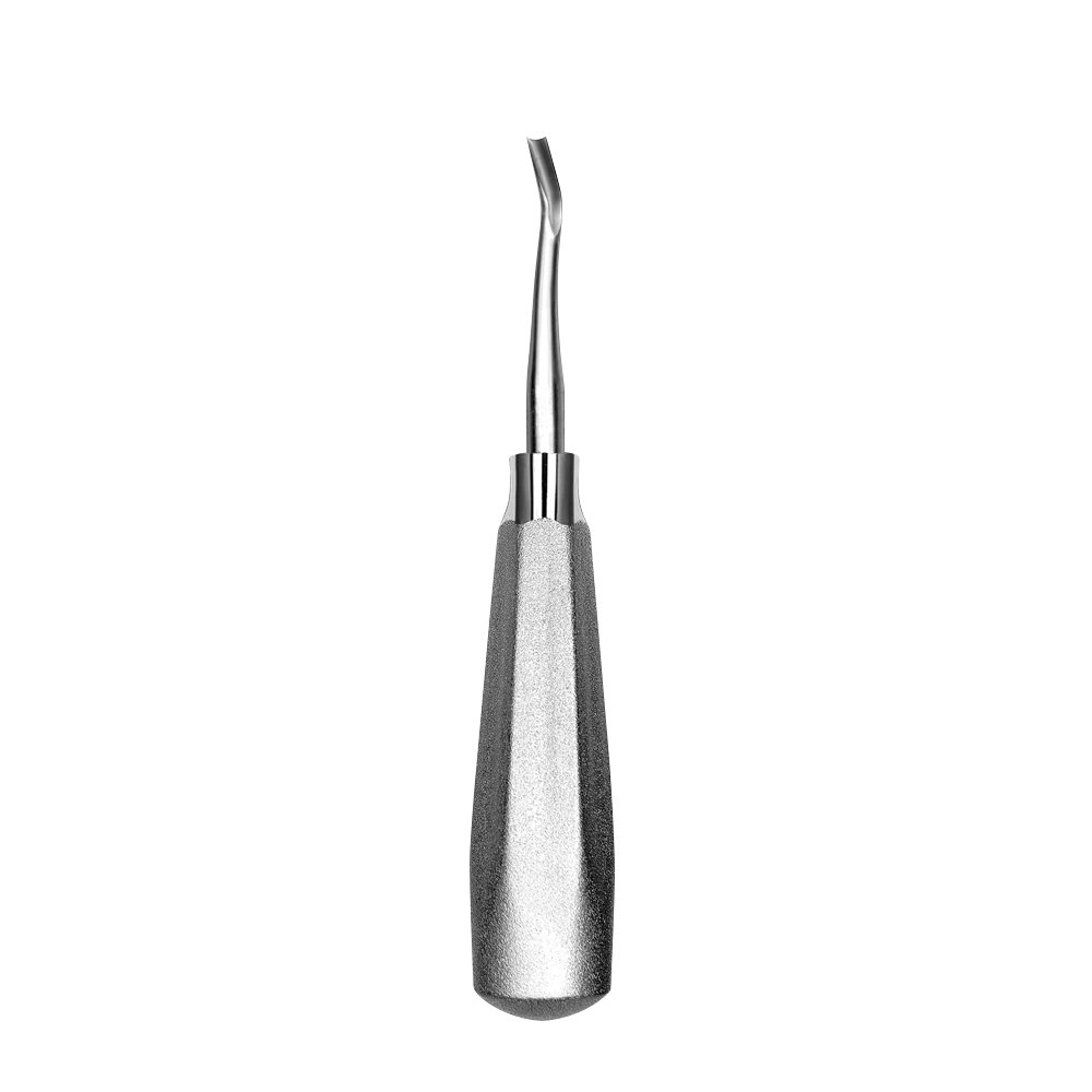 31F Friedman [Craig] Gouge Elevator, Serrated – 3Z Dental