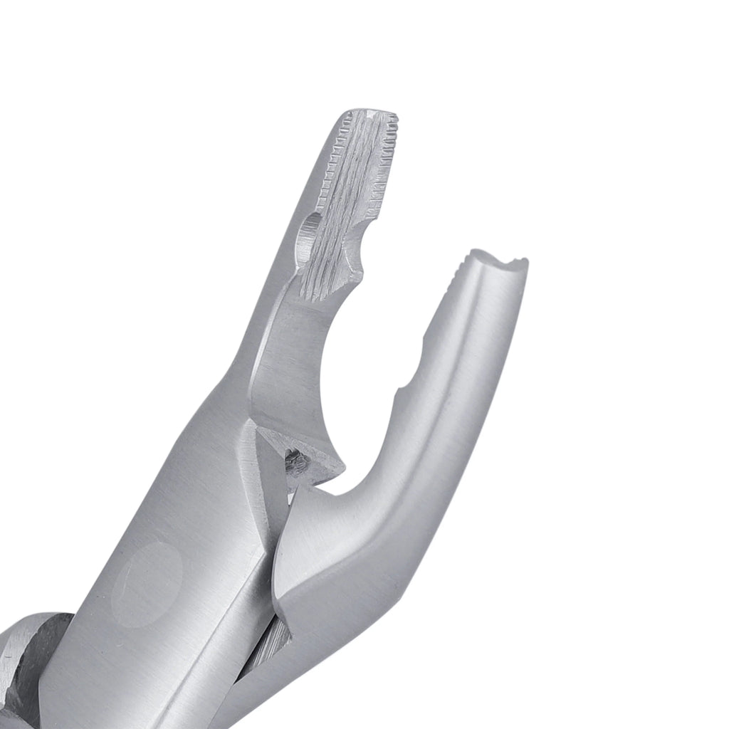 150XAS Pedo Split Beaks Serrated Upper Primary Universal Extraction ...