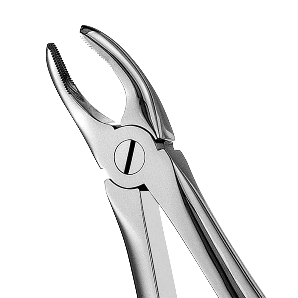 7 Serrated Upper Premolars Extraction Forceps – 3Z Dental