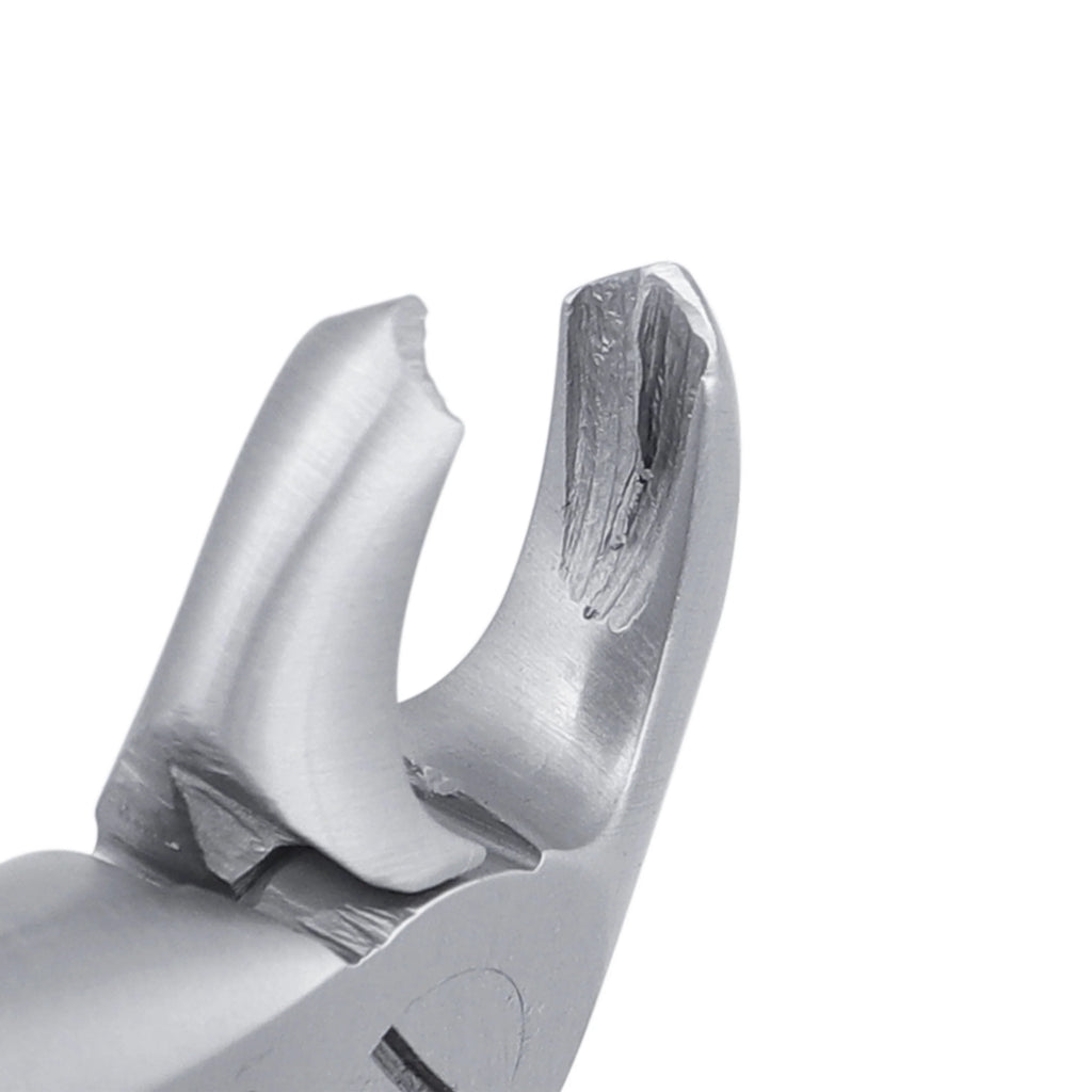 2C Pedo Lower Molars English Extraction Forcep – 3Z Dental