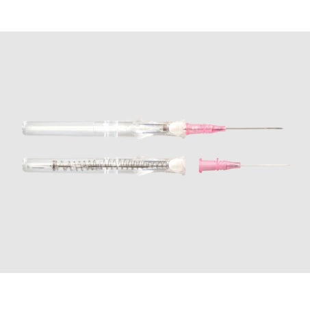 BD Insyte™ Autoguard™ Winged Catheter | Enhanced Safety IV Access – 3Z ...